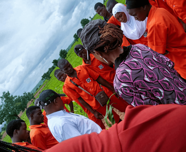 Leventis Foundation Nigeria